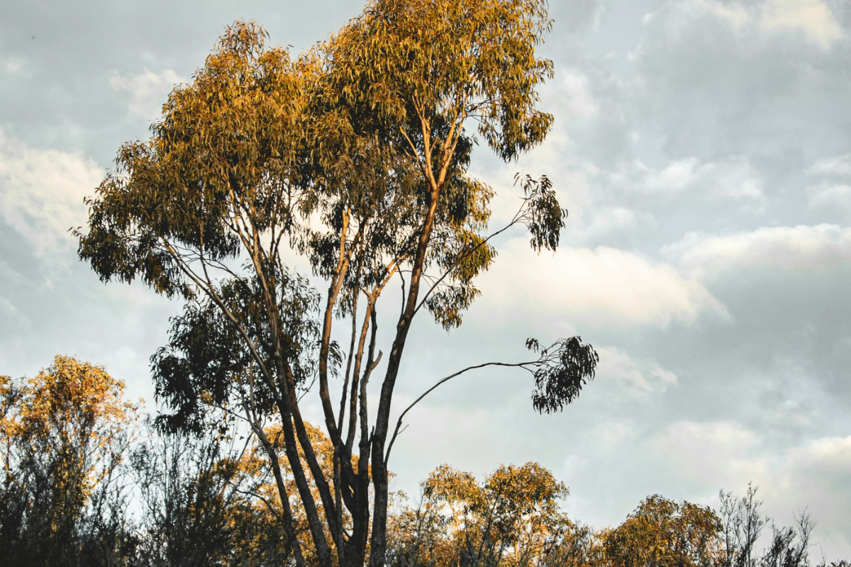 Is it legal to smack my kid? - CODA Criminal Law | CODA Criminal Law